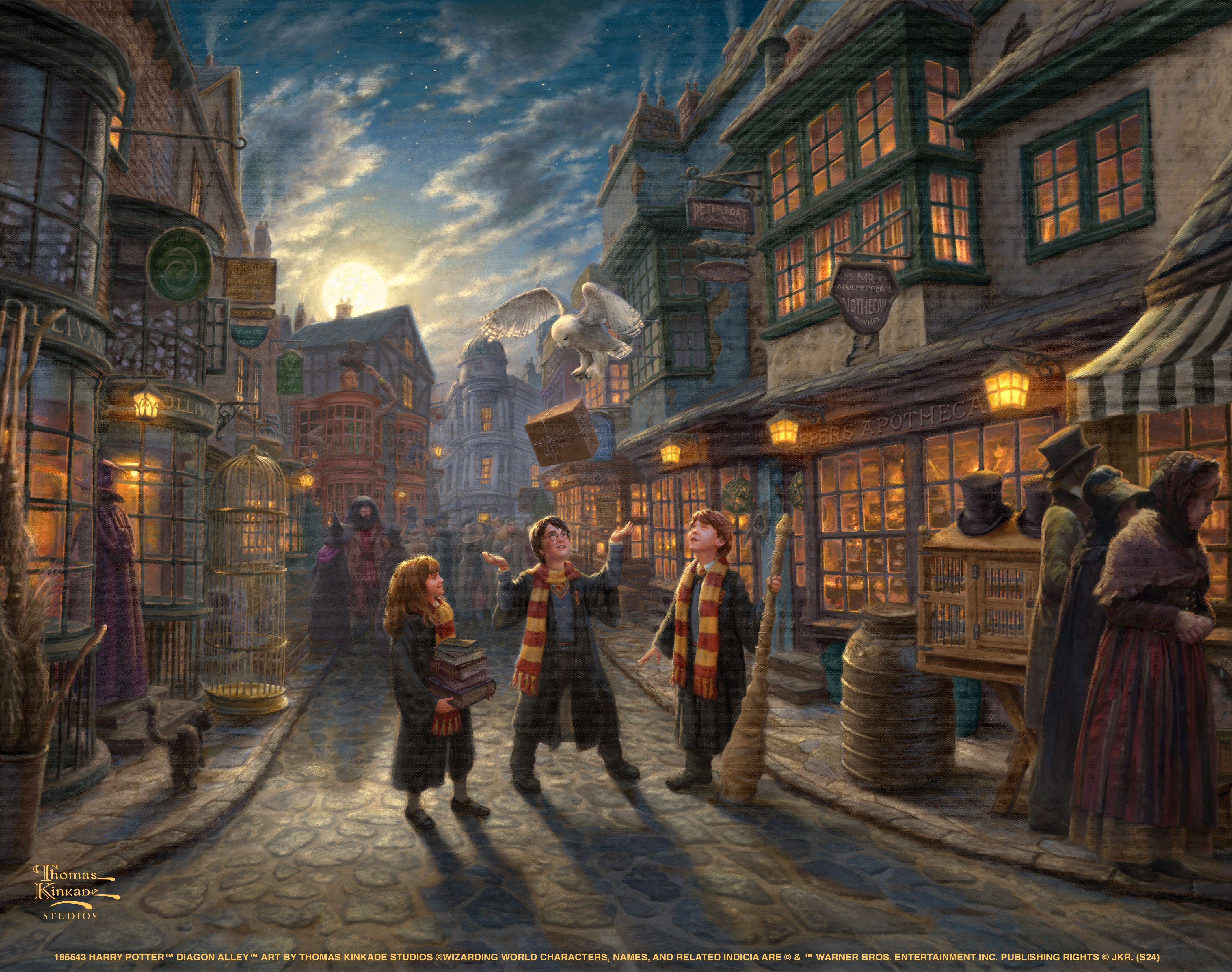 Harry Potter邃 Diagon Alley邃 Art Prints Art Prints From Thomas Kinkade