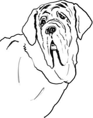 Harry Potter Hagrid's Hut Silkscreen Remarque + Master Highlighting ...